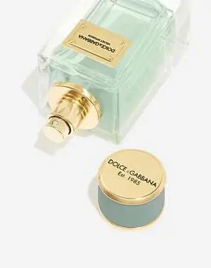 Dolce & Gabbana Velvet Infusion Eau De Parfum - -