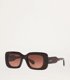 Chloé Acetate Sunglasses - Brown