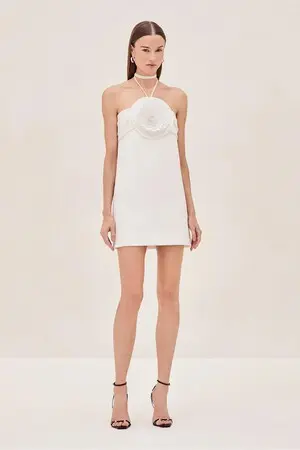Alexis Liss Mini Dress With Halter Neckline