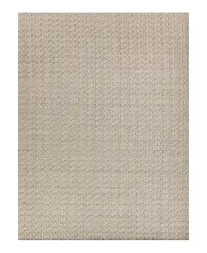 EXQUISITE RUGS Monroe Silk 3971 Area Rug, 6' X 9 - Light/taupe