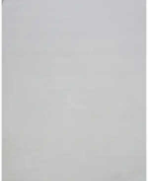 EXQUISITE RUGS Velutto Modern 6537 Area Rug, 2' X 3
