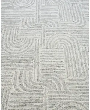 EXQUISITE RUGS Juno 6776 Area Rug, 8' X 10