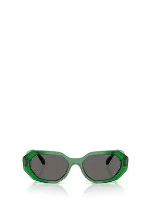 SWAROVSKI Swarovski Oval Sunglasses
