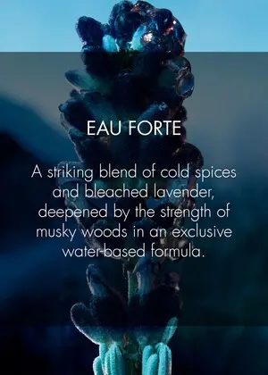 Dior Sauvage Eau Forte - One-color