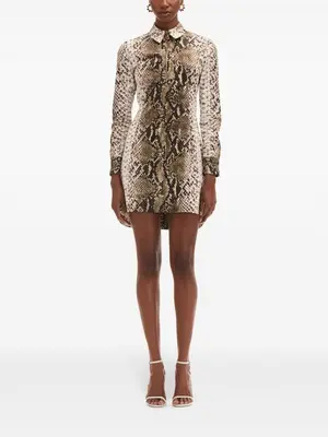 Oscar De La Renta Snake Cotton Poplin Shirt Dress