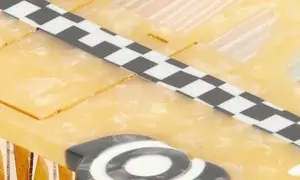 SOLAR ECLIPSE Taxi Cab Claw Clip