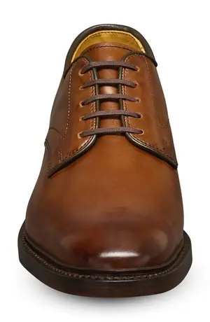 Allen Edmonds Maxwell Reserve Leather Derby - Chili