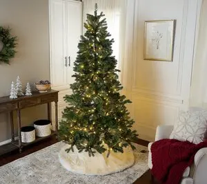 VALERIE PARR HILL 9' Twinkling Natural Touch Spruce Tree Valerie