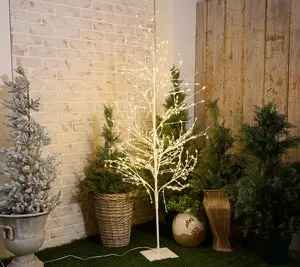 BETHLEHEM LIGHTS 5' Illuminated Crystal Birch Tree - One-color
