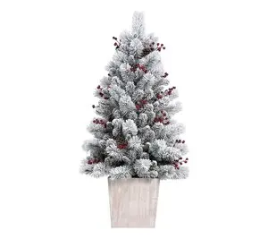 HAUTE DECOR 4' Prelit Frosted Ashcroft Fir Pott Ed Tree - One-color