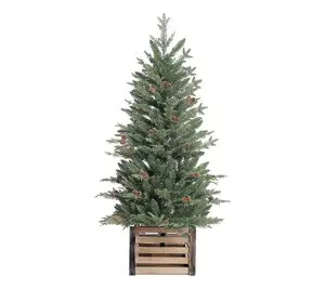 HAUTE DECOR 4' Pre-lit Asheville Artificial Fir Potted Tree - One-color