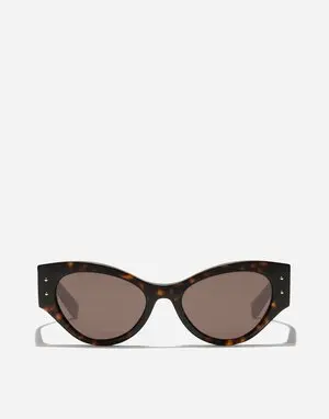 Dolce & Gabbana Logo Plaque Sunglasses - Havana