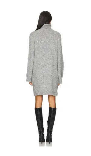 Steve Madden Abbie Sweater Dress