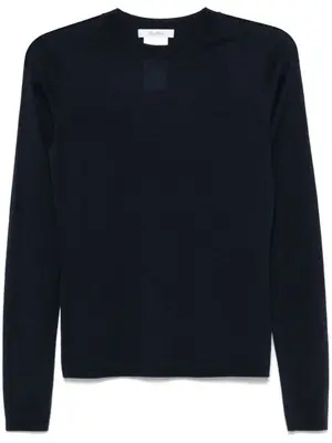 Max Mara Afelio Sweater