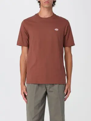 Dickies Dickies T-Shirt Brown