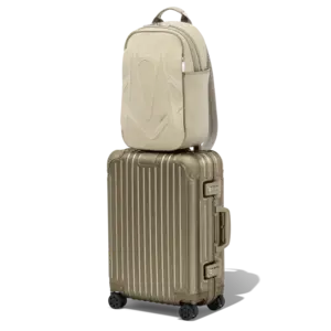 RIMOWA Signature Backpack Medium