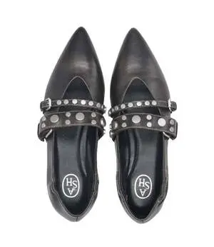 Ash Pointed Toe Leather Flat