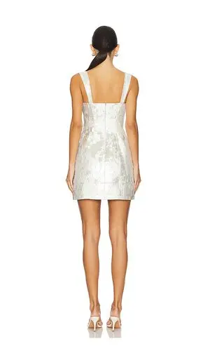 Simkhai Lydia Sleeveless Mini Dress