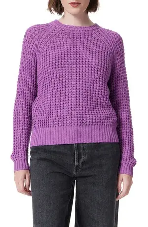 Women's Violet Knitwear