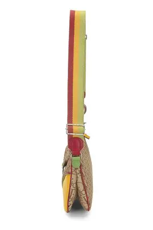 Dior Trotter Canvas Rasta Double Saddle Bag