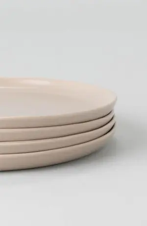 FABLE The Dinner Set Of 4 Plates - Desert Taupe