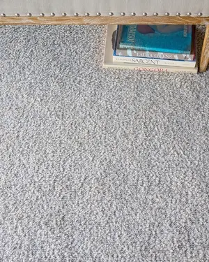 EXQUISITE RUGS Morello Er4777 Area Rug, 3' X 5