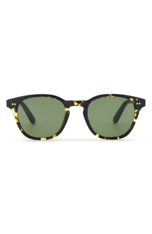 Toms TOMS Wyatt 49mm Round Frame Sunglasses Havana Tortoise/ Bottle Green