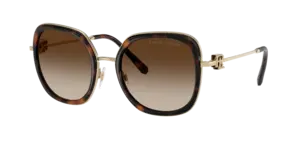 Ralph Lauren Sunglasses - Gradient Brown