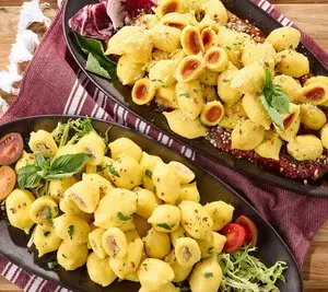 BERTONCELLO 4 Lbs Italian Cheese Stuffed Gnocchi - One-color