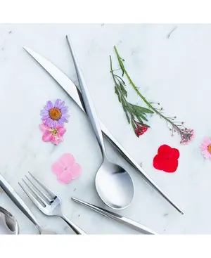 VIETRI Natura Place Knife