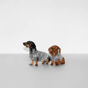 Gucci Gg Wool Jacquard Pet Sweater