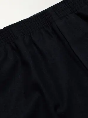 Loro Piana Gaspard Tapered Virgin Wool And Cashmere-blend Trousers
