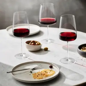 SCHOTT ZWIESEL Handmade Simplify Burgundy Glass, Set Of 2