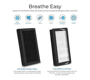 EYEVAC Air 2-in-1 Air Purifier/deodorizer & Vac Uum