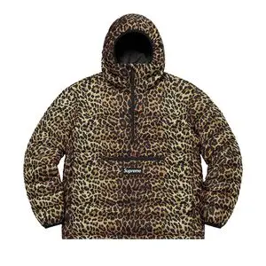 Supreme Micro Down Half Zip Hooded Pullover