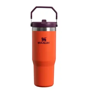 STANLEY Iceflow Flip Straw Tumbler - Orange
