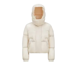Moncler Briancon Hooded Organza Short Down Jacket