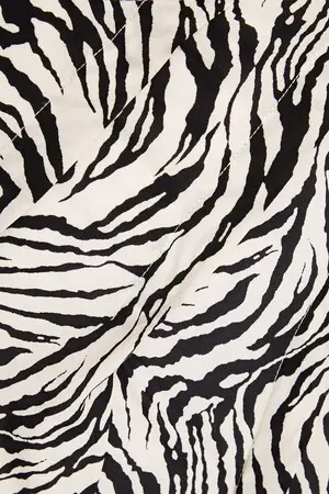 Isabel Marant Étoile Cacia Zebra-print Crepe De Chine Midi Skirt