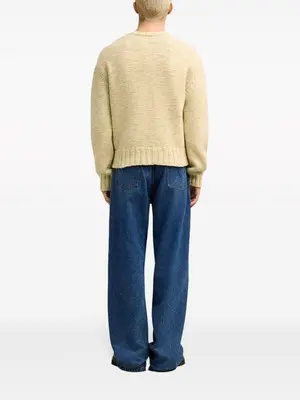 Ami Shearling Crew Neck Sweater