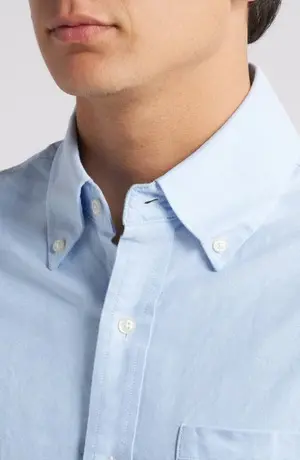 SCHOTT Button-down Oxford Shirt - Blue