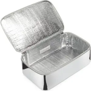 WELLINSULATED Performance Travel Case - Silver