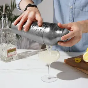 VISKI Parisian Cocktail Shaker - Harrison