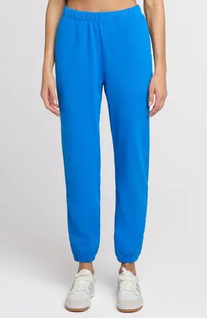 The Standard Stitch Sweatpants For Women