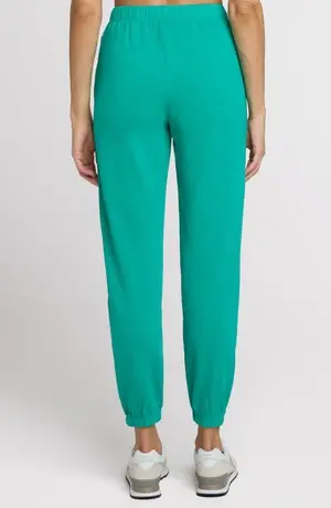 THE STANDARD STITCH Relaxed Fit French Terry Sweatpants - Peacock