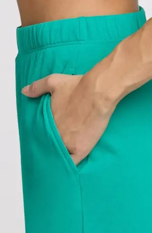 THE STANDARD STITCH Relaxed Fit French Terry Sweatpants - Peacock
