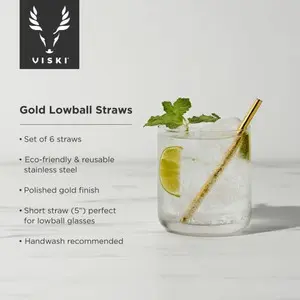 VISKI Lowball Straws - Belmont