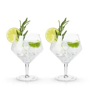 VISKI Raye Crystal Angled Gin & Tonic Glasses Set Of 2