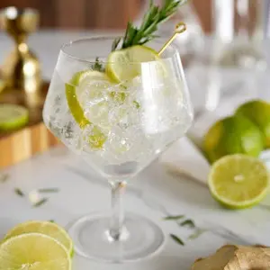VISKI Raye Crystal Gin & Tonic Glasses Set Of 4
