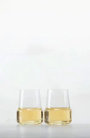 FORTESSA Level Set Of 2 White Wine Glasses