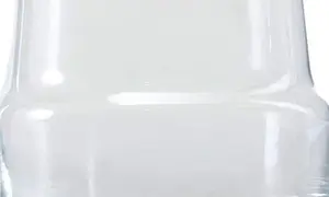 FORTESSA Level Set Of 2 White Wine Glasses